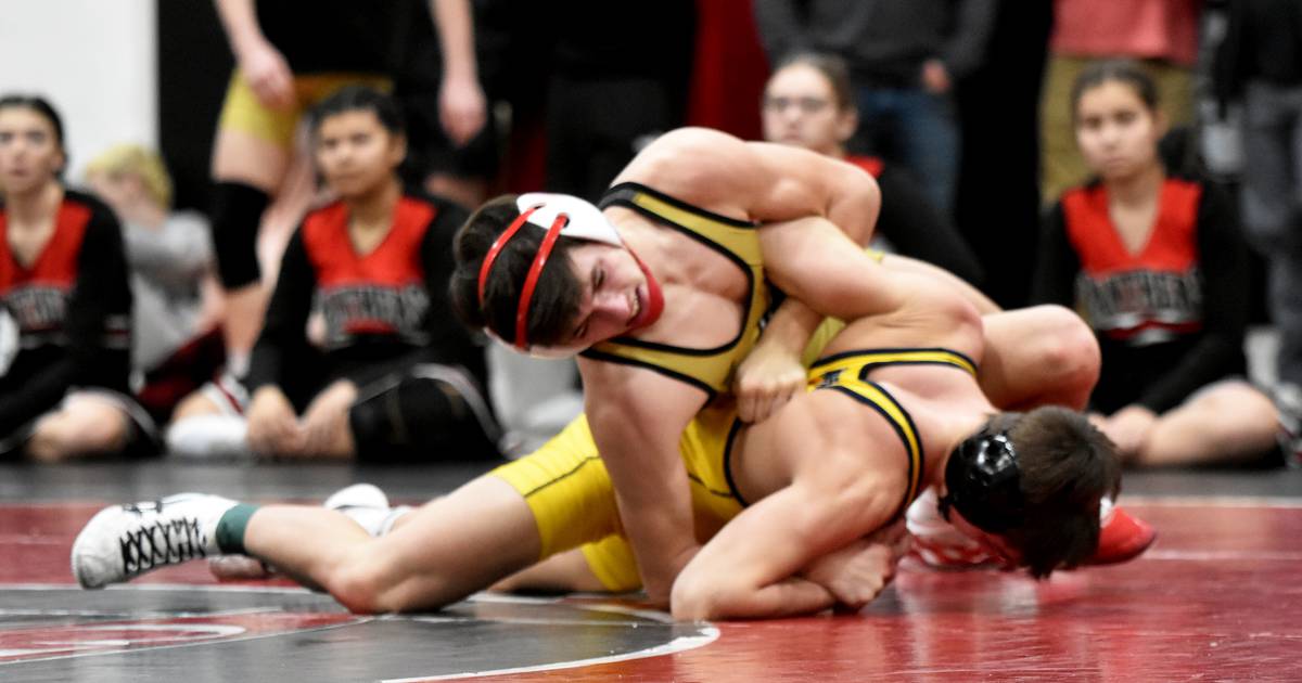 Three Panthers advance to state tourney – Creston News