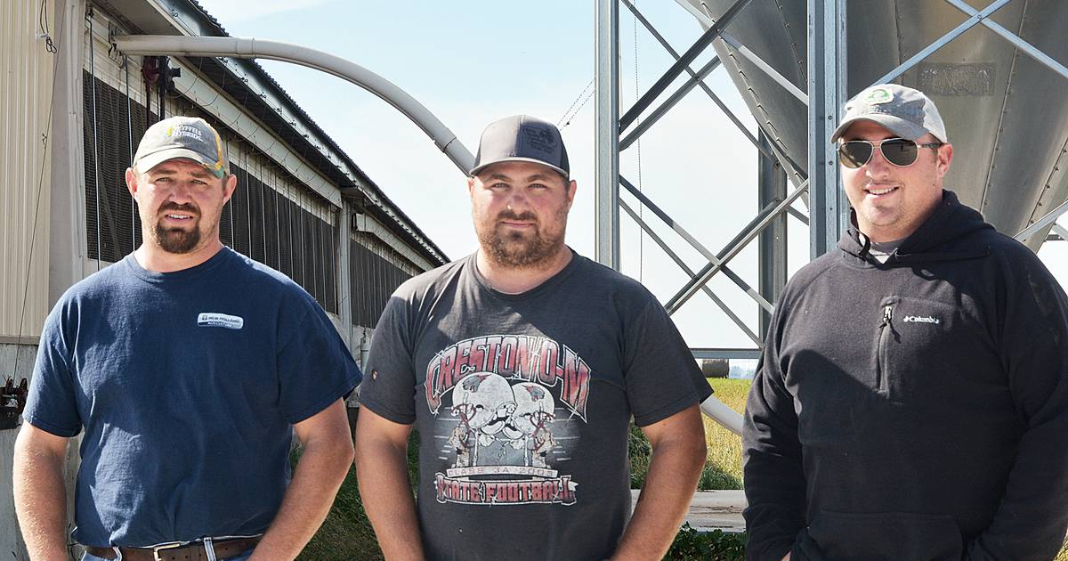 Geidel brothers active in hog operation – Creston News