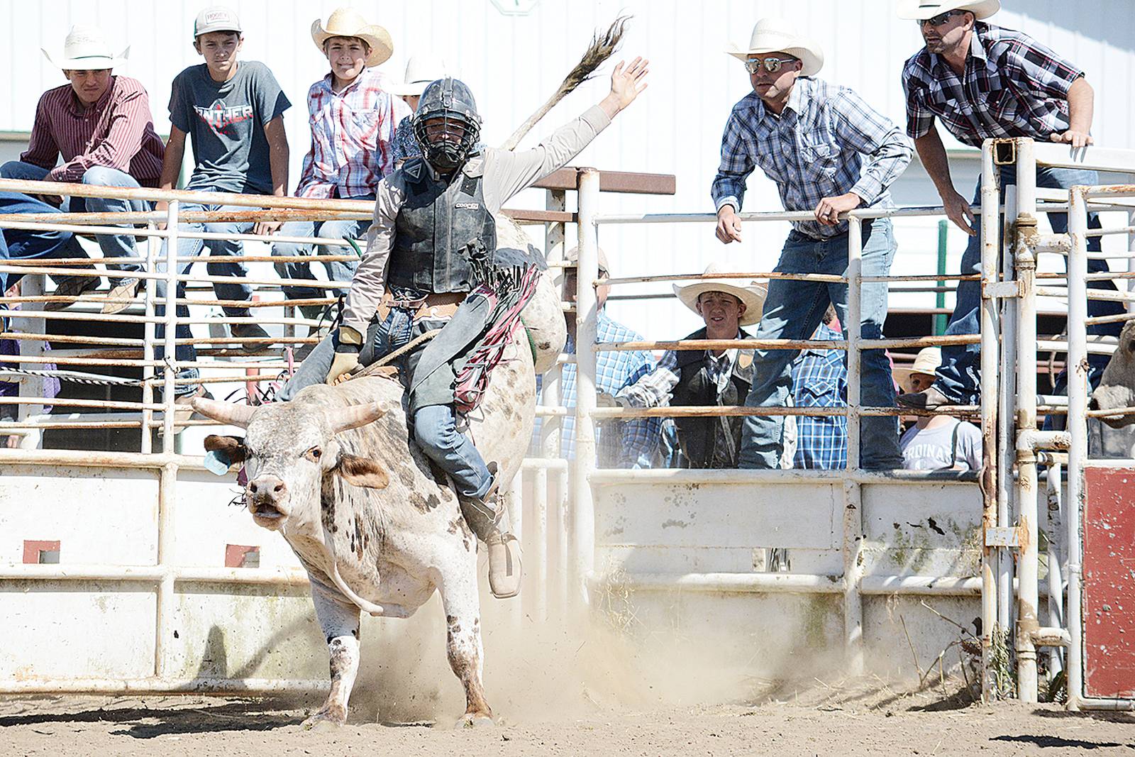 Tuff-N-Nuff miniature rodeo coming to Union Co. – Creston News