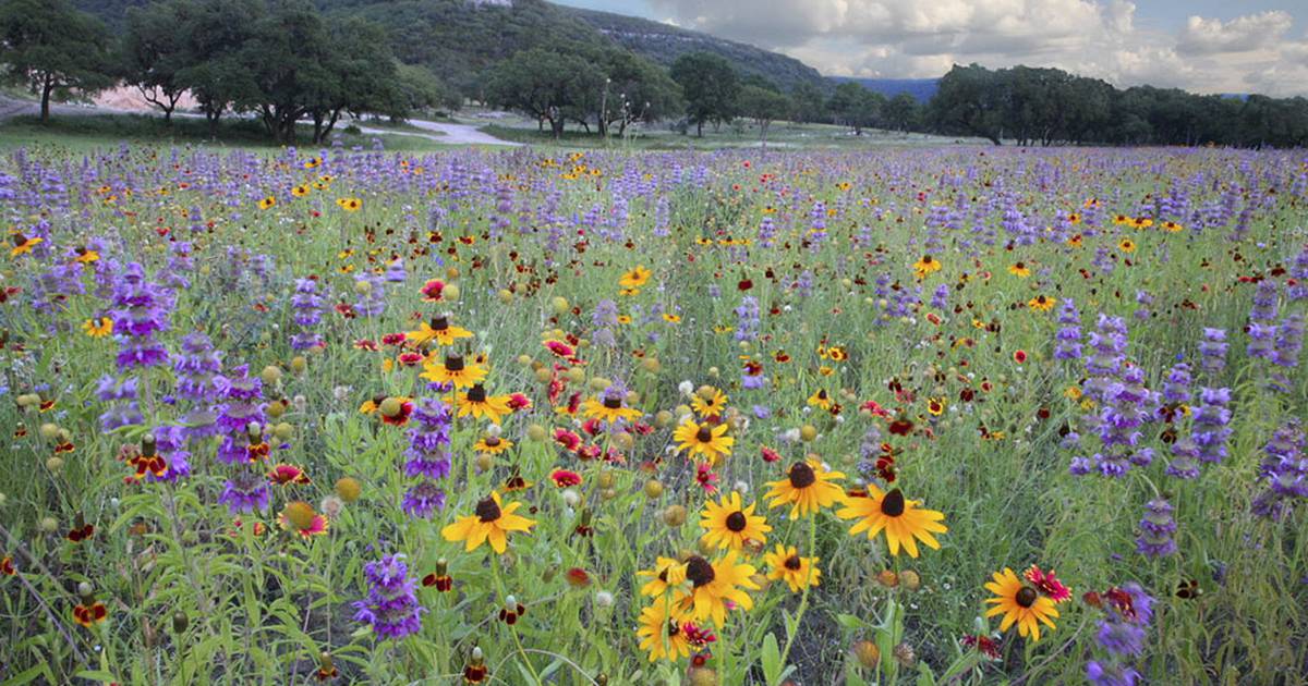 Susan Kile – Creston News