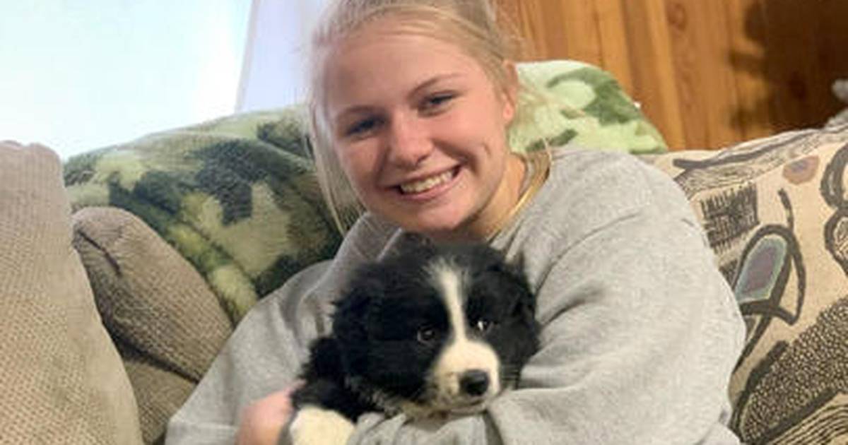 Parks and Rec approves tentative dog park site in memory of Creston ...