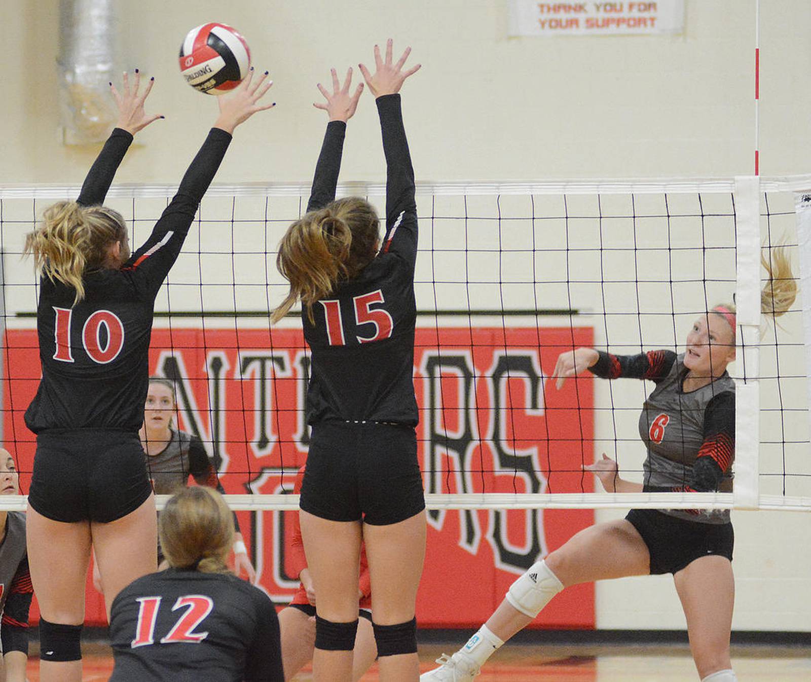 Panthers fall in fifth set to close regular season – Creston News