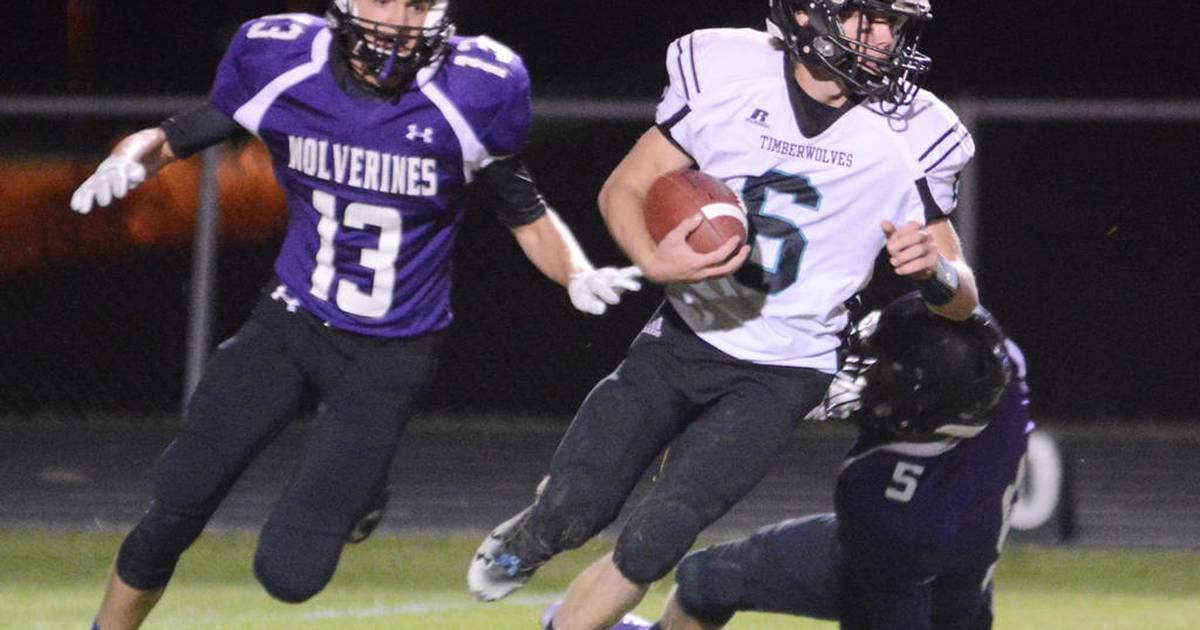 Timberwolves fight off Wolverines – Creston News