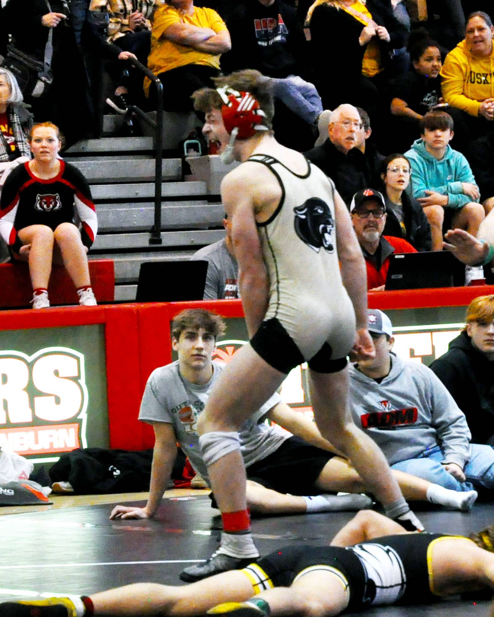 Eight advance in Panthers’ district win – Creston News