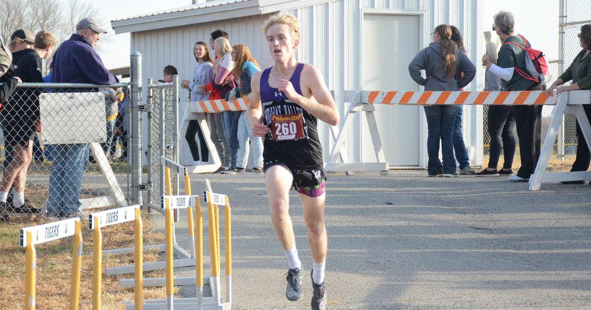 Berg punches his ticket to state cross country – Creston News
