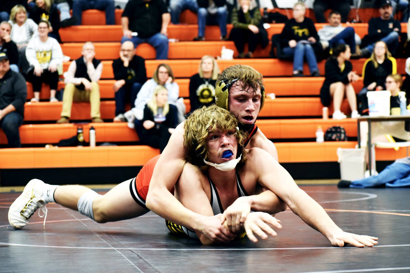 Panthers dominate in conference triangular – Creston News