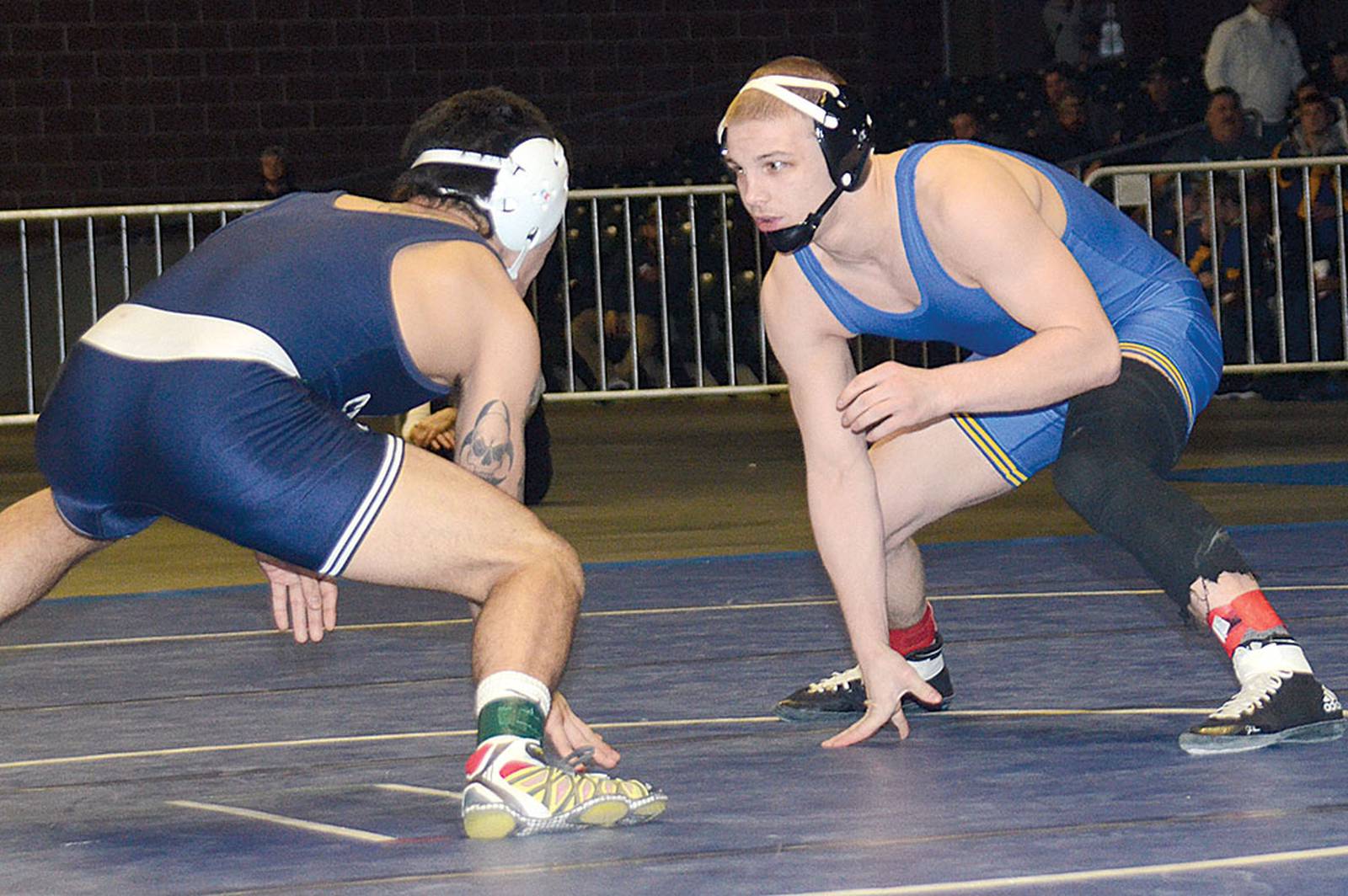 Marlin’s charge stopped in national finals – Creston News