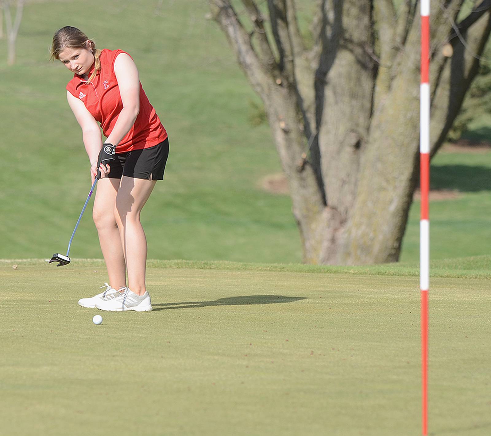 Winterset sweeps golf tournament – Creston News