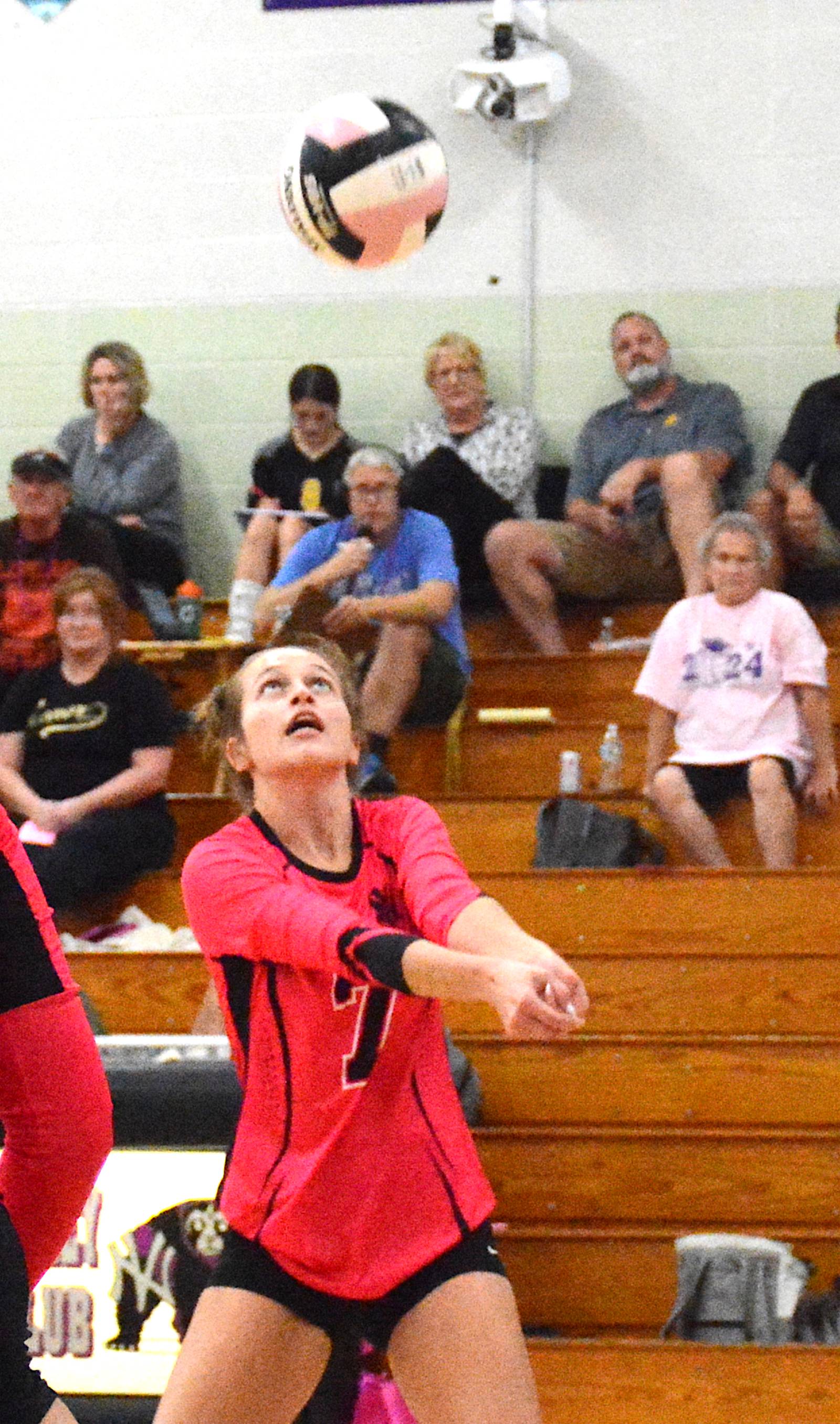 Wolverine netters trending upward going into regionals – Creston News