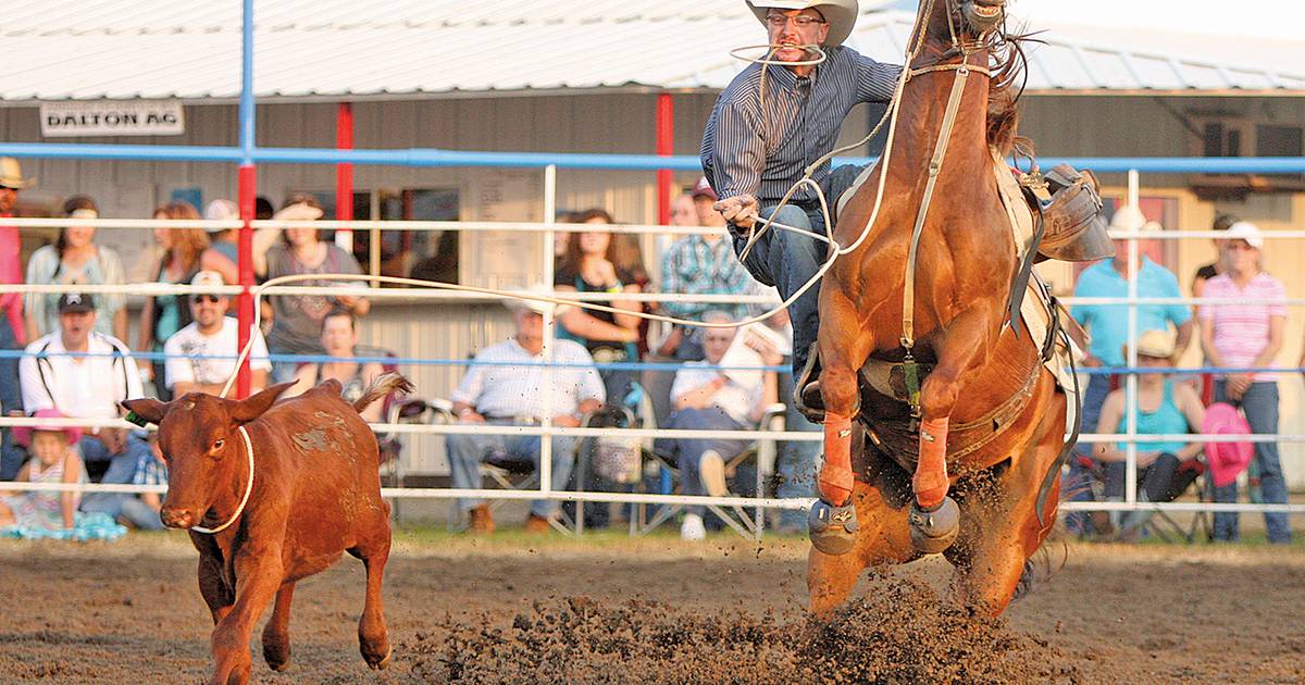 Results from 69th annual Lenox Rodeo – Creston News